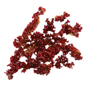 Twilight Night Serum - Joanna Vargas